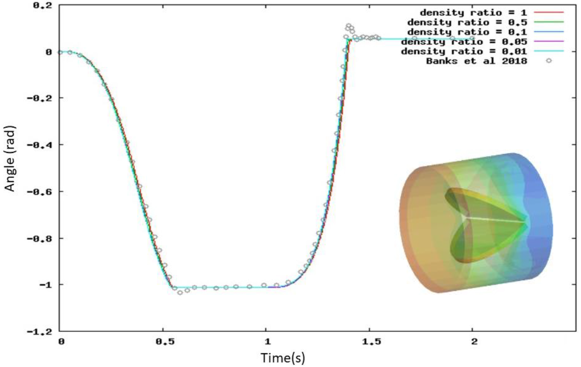 Capturing Heart Valve Dynamics With Implicit Fluid-Structure Interaction Modeling - CONVERGE CFD ...
